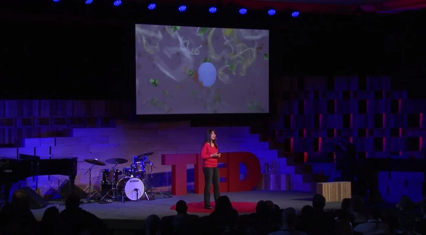 Blender at TED: How animations can help scientists test a hypothesis ...