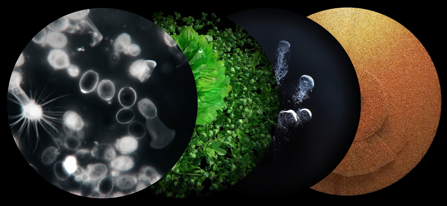 Aldaris Beer Museum / Projection installation - BlenderNation