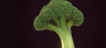 How to model a broccoli - BlenderNation