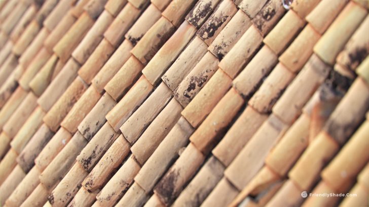 Friendly Shade - Roofing Preview - BlenderNation
