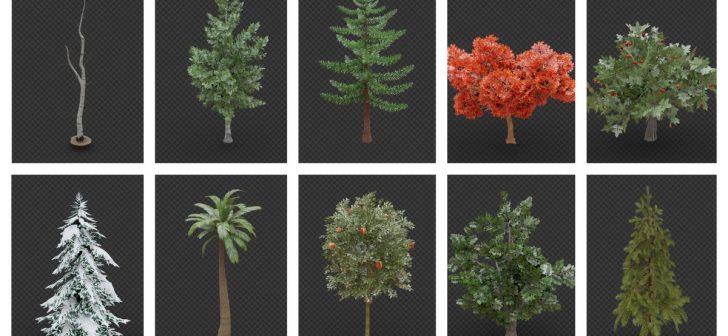 Tree Variety Pack [$] - BlenderNation