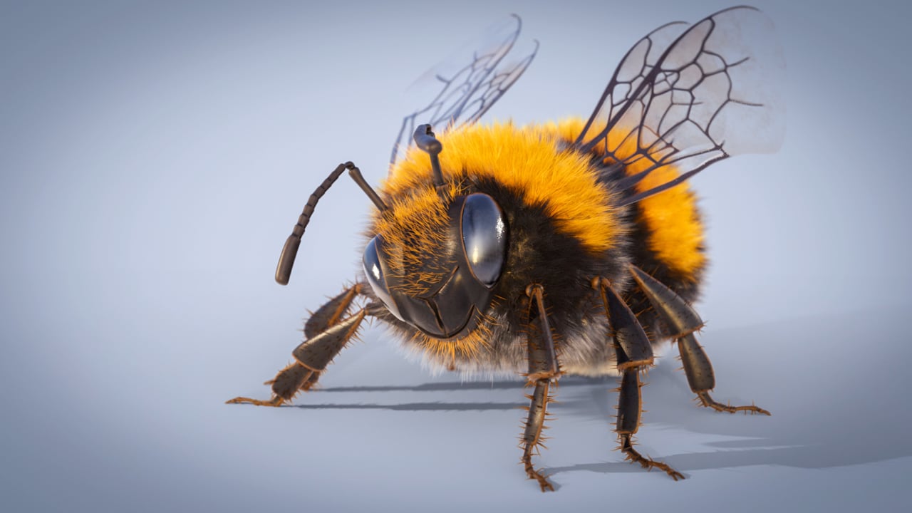 Bumblebee making of - BlenderNation