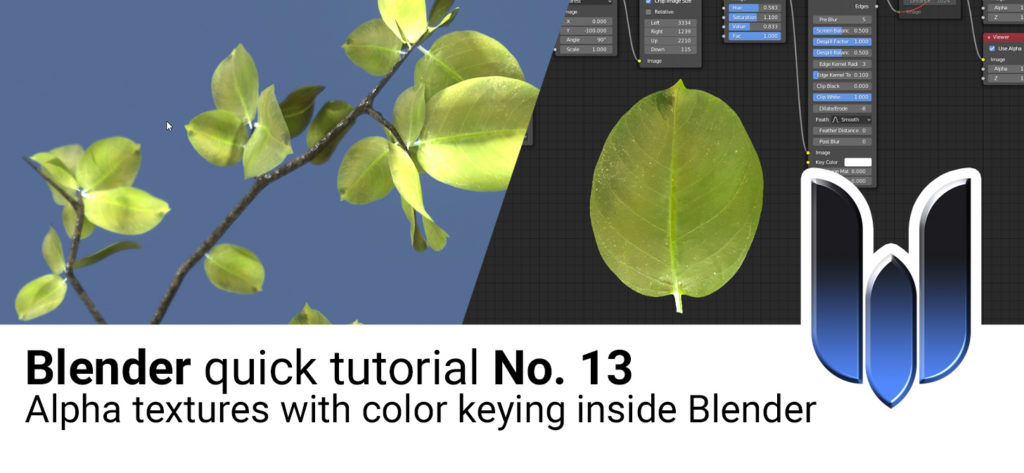 Blender quick tutorial No. 13: Alpha textures with color keying inside ...