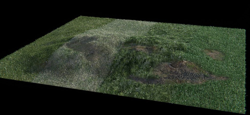 Easy Grass Generator [$] - BlenderNation