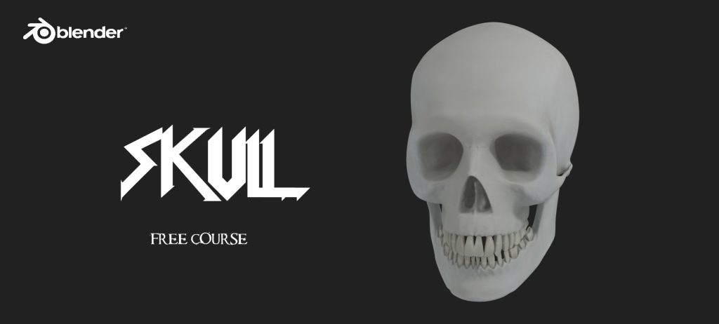 Skull - Free Basic Modeling Course in Blender - BlenderNation