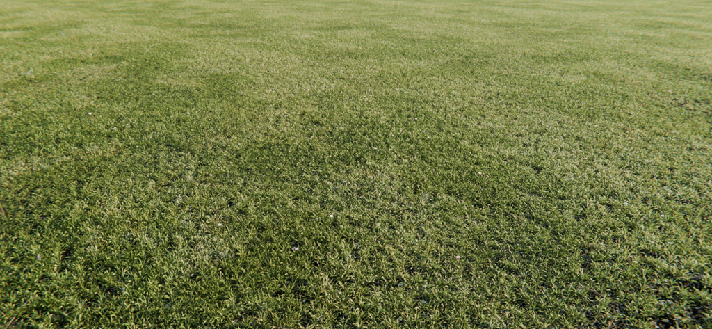 Easy Grass Generator 1.7.1 Adds Improved UI, Optimization and Growth ...